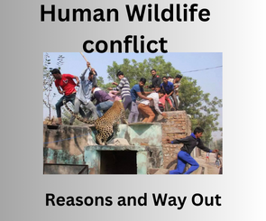 Human-wildlife conflict: A way out - News Simplified